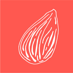 BUTTERFLY BRAND NUTS – MADE IN HONG KONG – Butterfly Brand Nuts